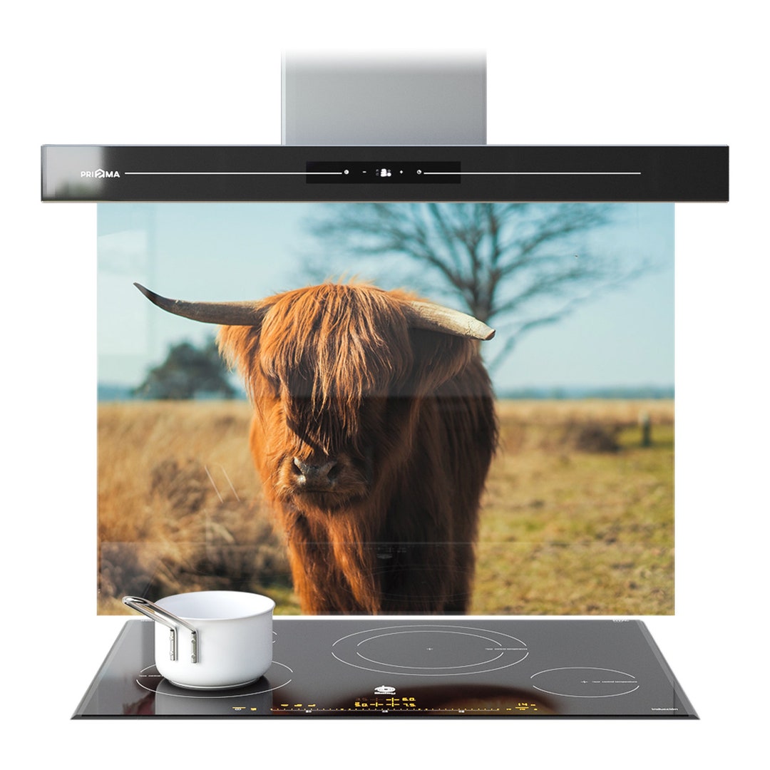 Kitchen Splashback Farm Animals Bull Cow Tempered Glass Backsplash Wall ...