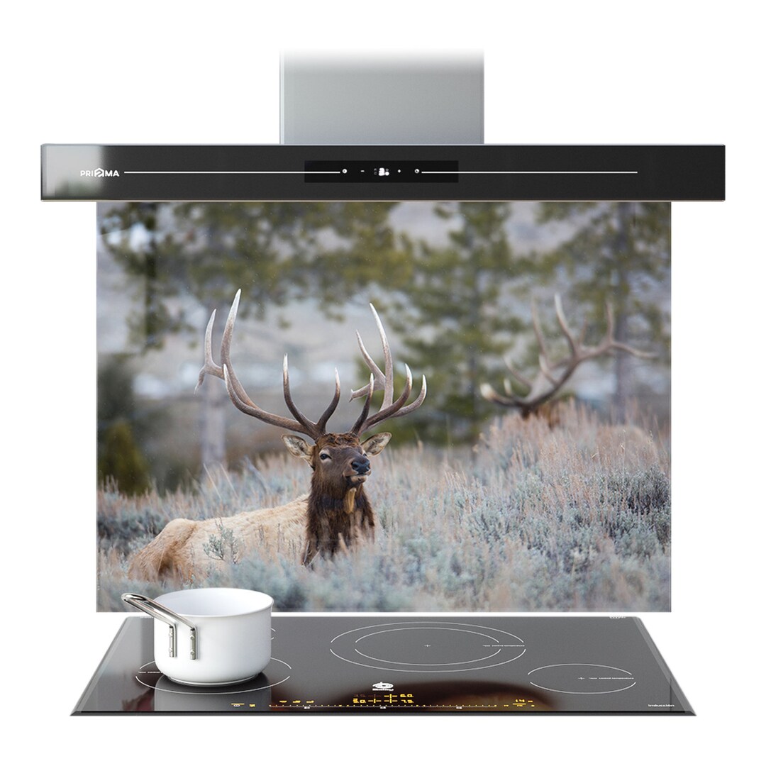 Kitchen Splashback Deer Stag Horns Tempered Glass Backsplash Wall Panel ...