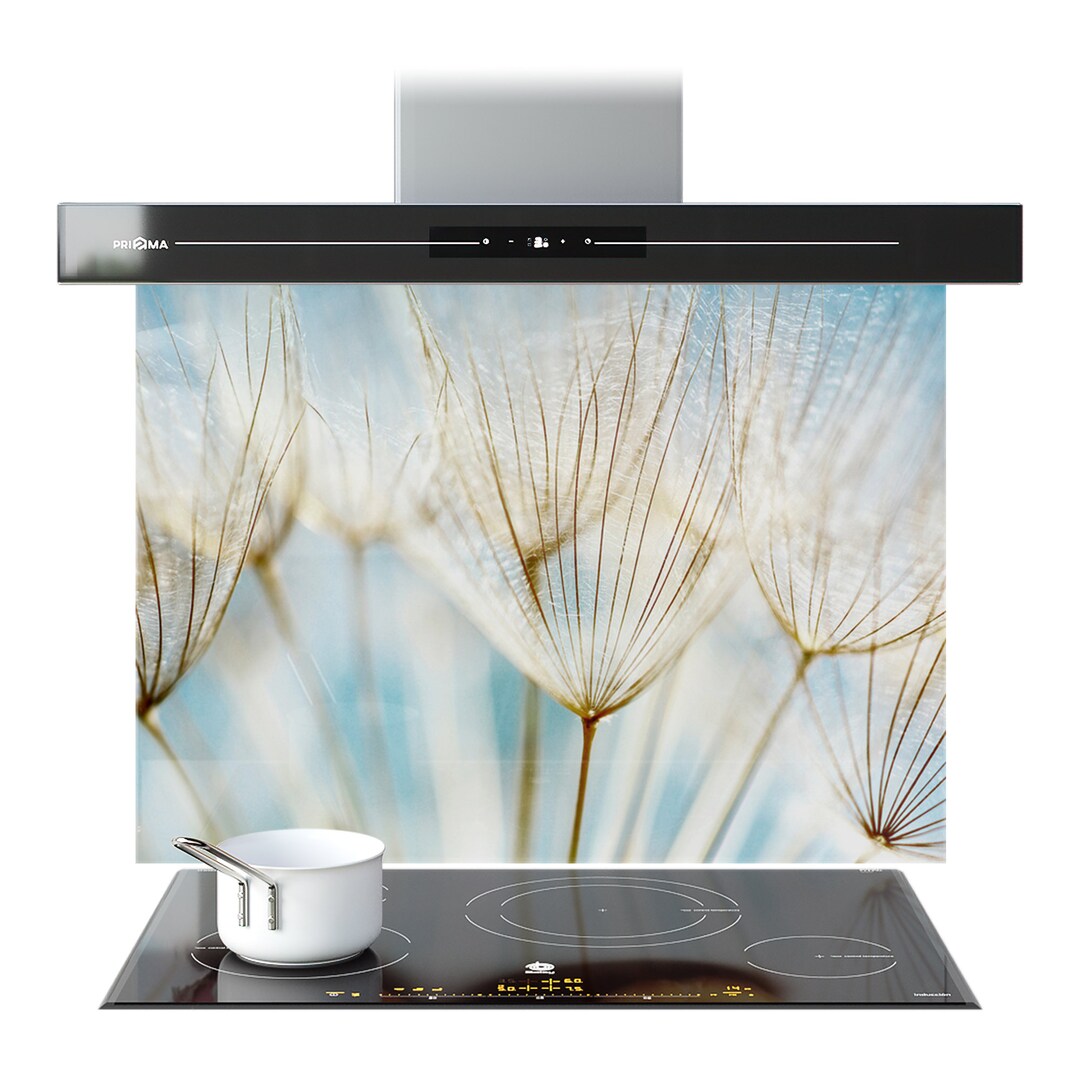Kitchen Splashback White Dandelion Zoom Photo Art Tempered Glass ...