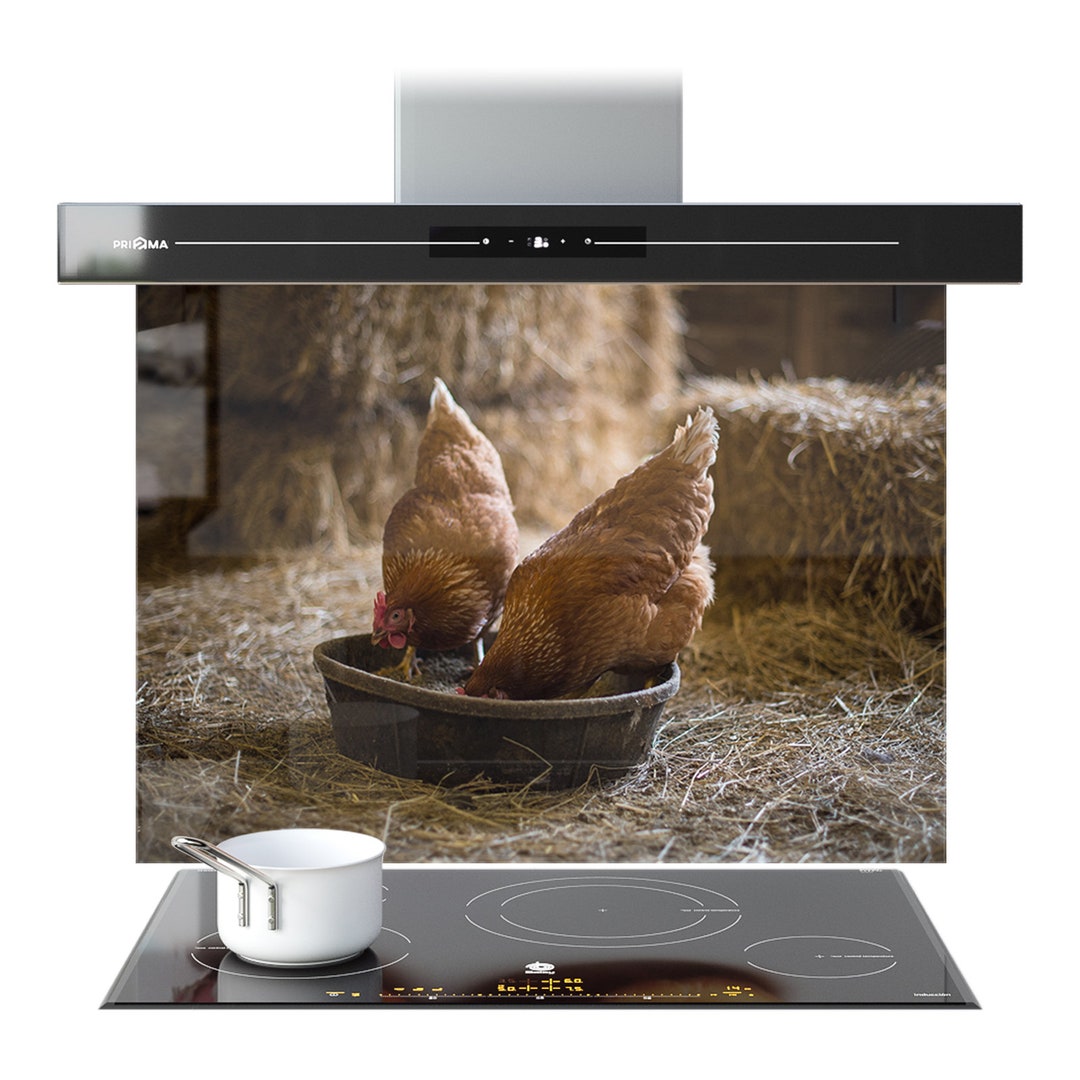 Kitchen Splashback Farm Animals Chickens Hen Tempered Glass Backsplash ...