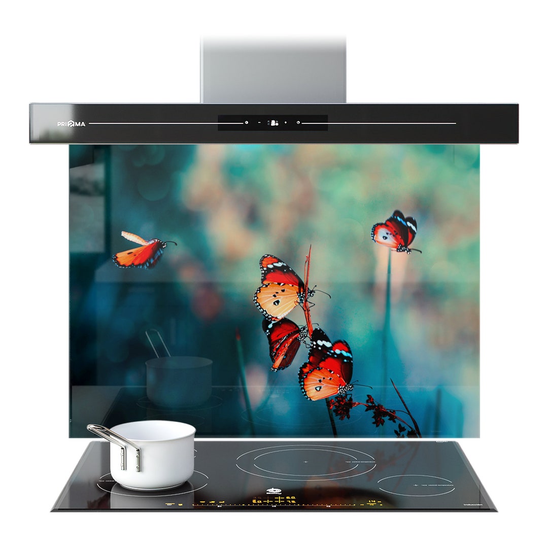 Kitchen Splashback Butterfly Insect Animals Wild Macro Photo Tempered ...