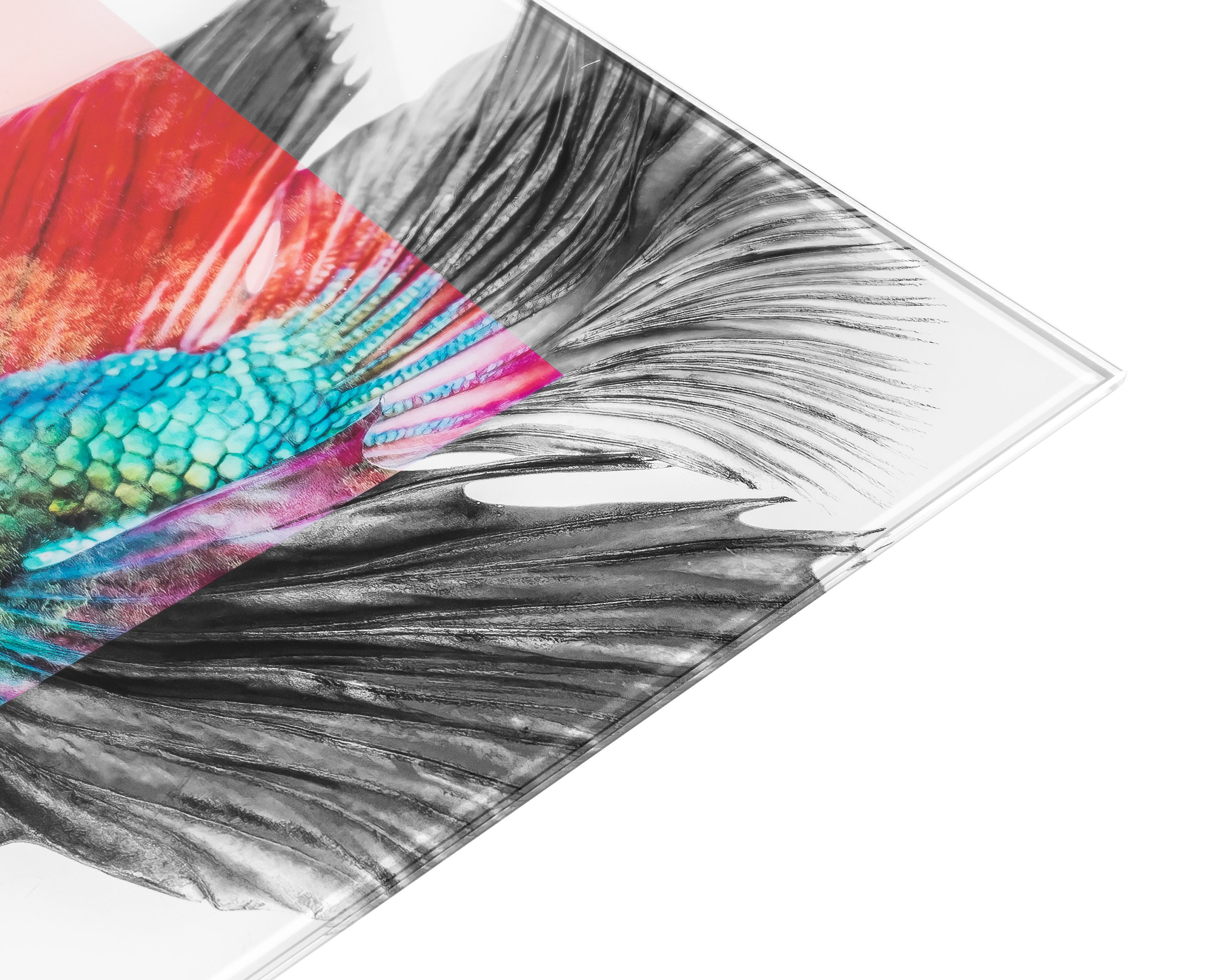 Glass Splashback for Kitchen in ANY SIZE Abstract Colourful - Etsy