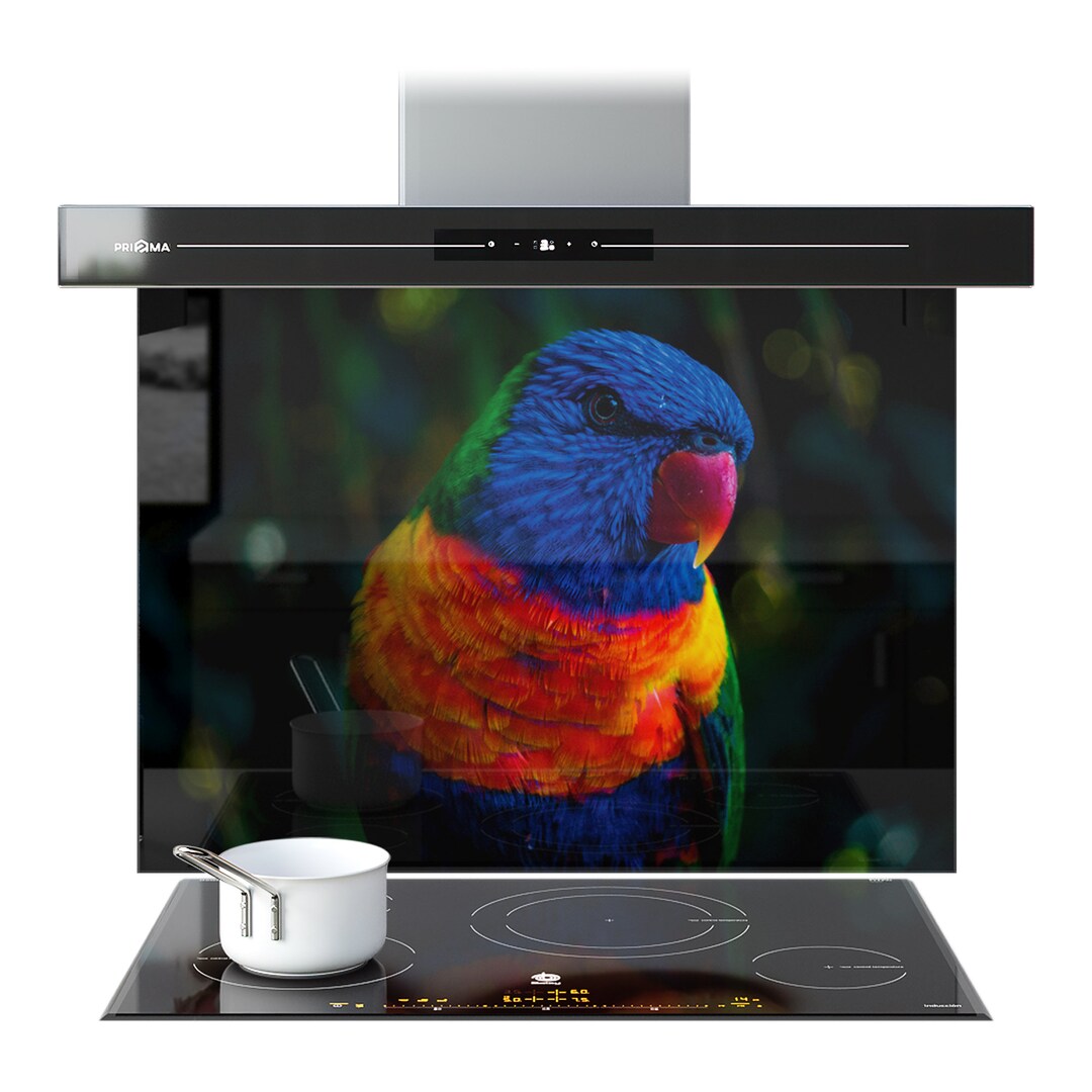 Kitchen Splashback Wild Birds Parrot Photo Art Tempered Glass ...
