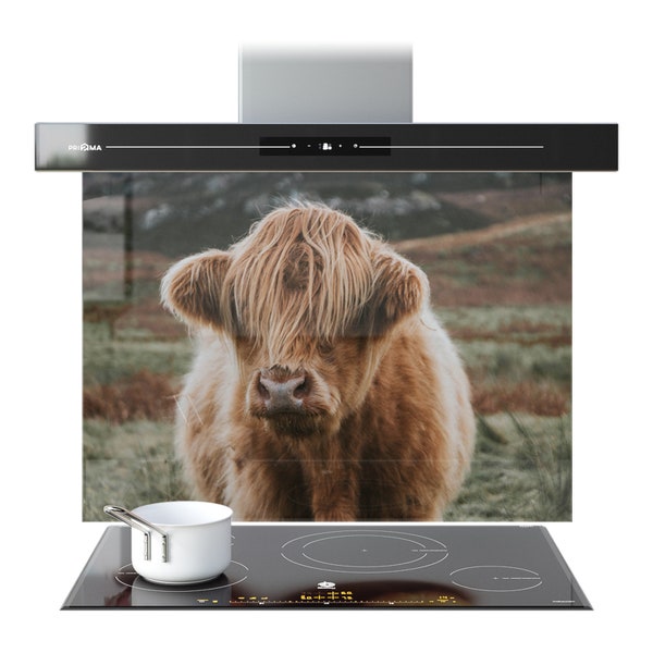 Highland Cow Kitchen Splashback - Etsy UK
