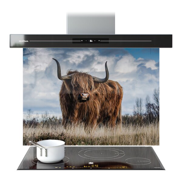 Highland Cow Kitchen Splashback - Etsy UK