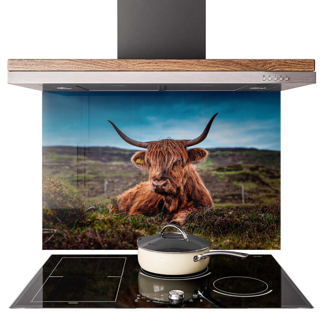 Highland Cow Glass Splashback for Kitchen Behind Cooker, Sink, Stove ...