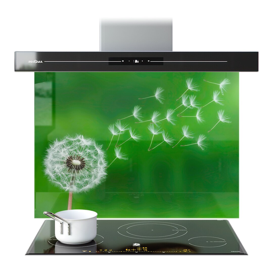 Kitchen Splashback Dandelion Seeds Green Photo Art Tempered Glass ...