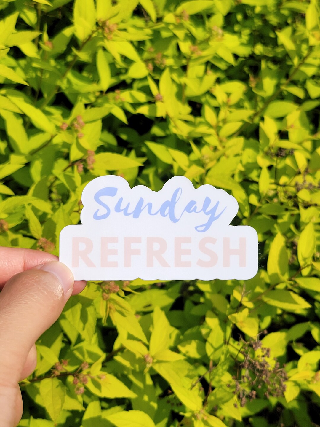 Sunday Refresh Sticker Vinyl Sticker Waterproof - Etsy
