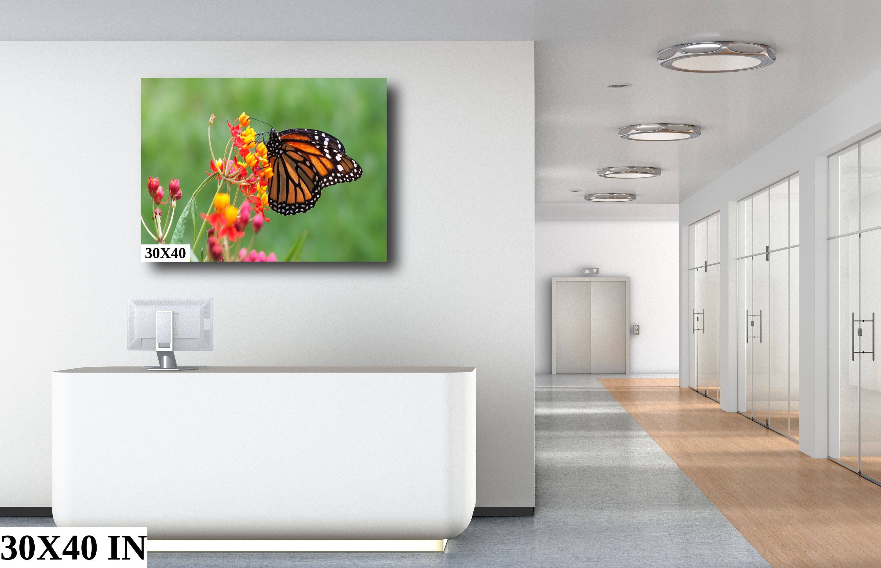 Monarch Butterfly, Butterfly Artwork, Monarch Print, Butterfly Wall ...