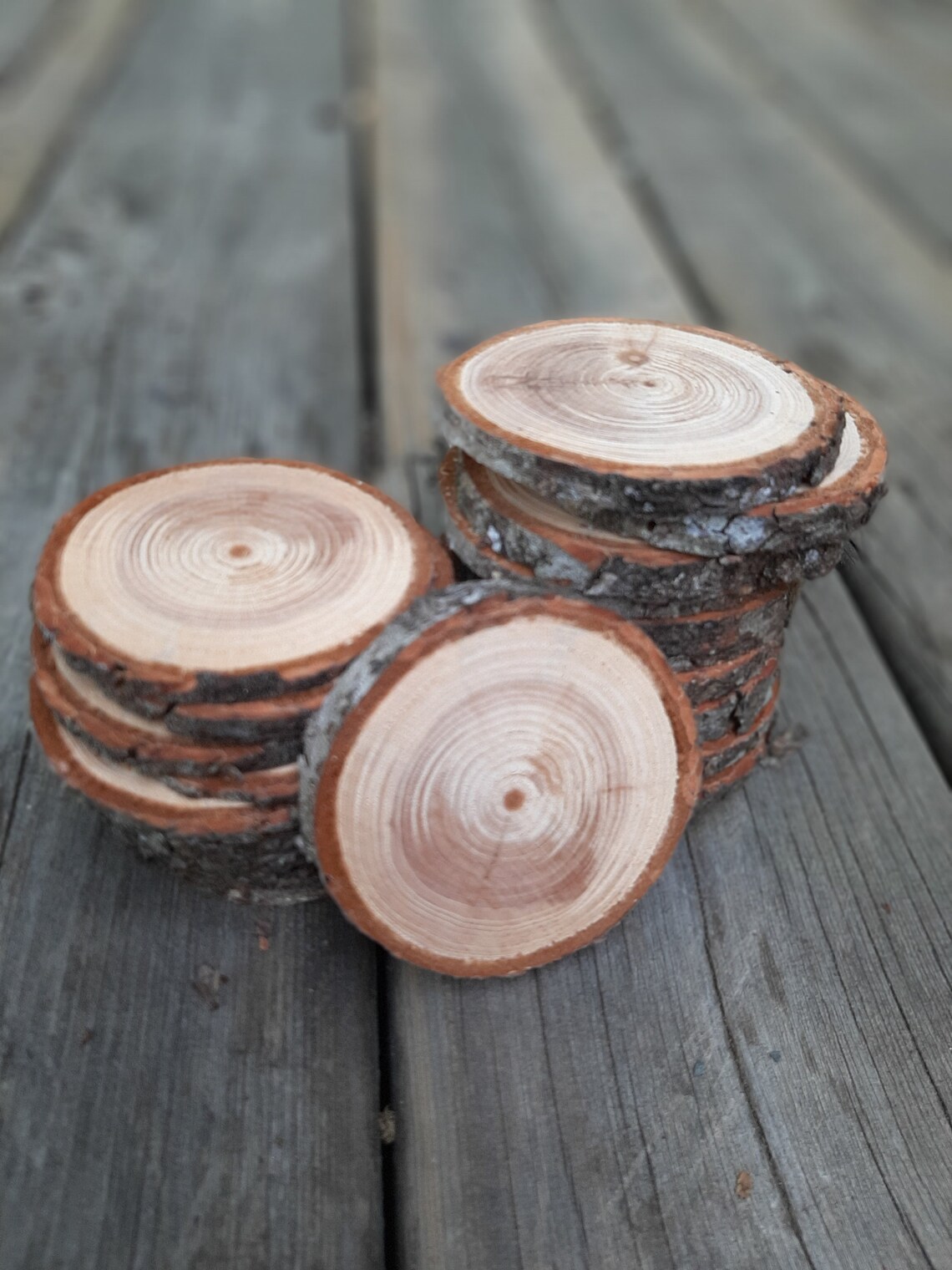 Rustic Wood Round Slices Set of 6 Branch Rounds, Crafting Slices, Round ...