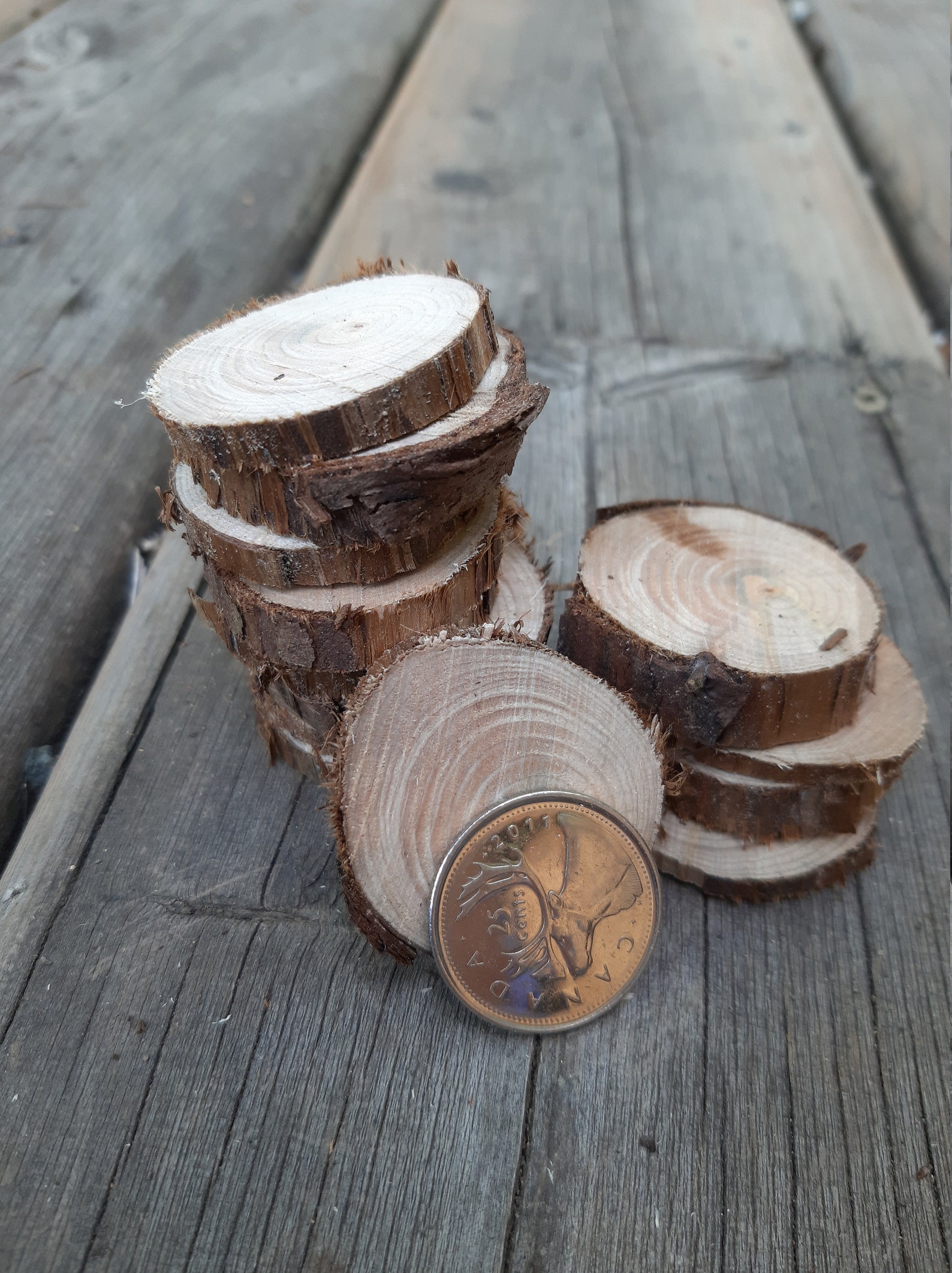 Rustic Wood Round Slices Set of 6 - Branch Rounds, Crafting Slices ...