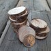 Rustic Wood Round Slices Set of 6 Branch Rounds Crafting | Etsy