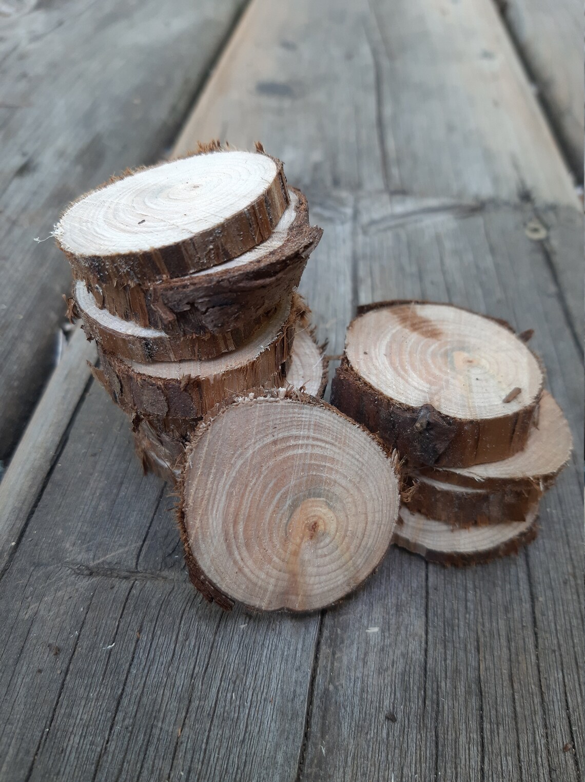 Rustic Wood Round Slices Set of 6 Branch Rounds, Crafting Slices, Round ...