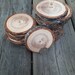 Rustic Wood Round Slices Set of 6 Branch Rounds Crafting | Etsy