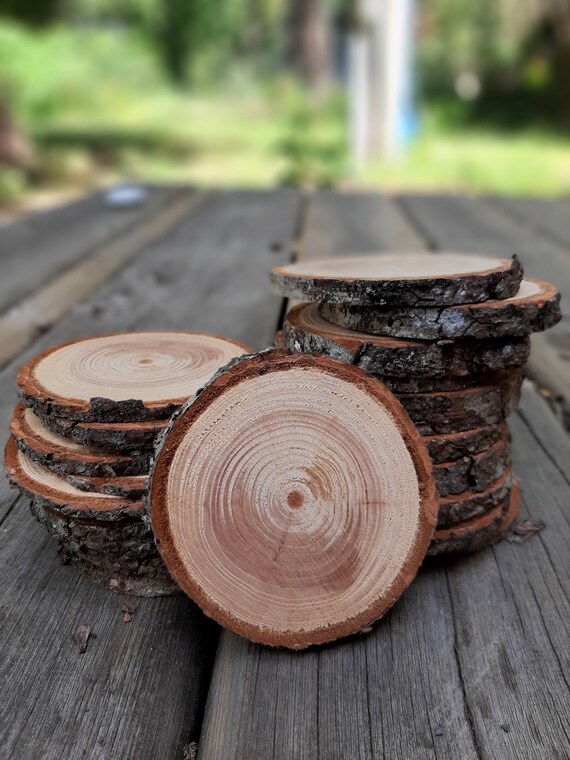 Rustic Wood Round Slices Set of 6 Branch Rounds Crafting | Etsy