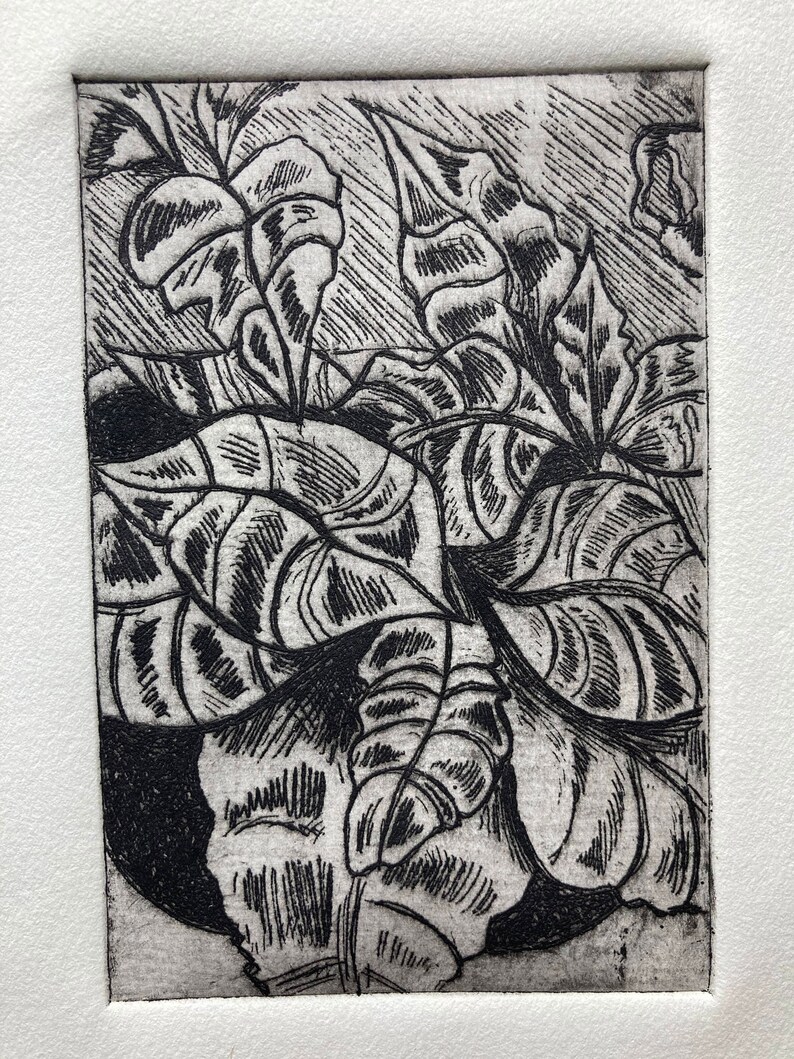 Grow- Intaglio Print Handmade Handprinted 11"x7" Unframed Print - Etsy