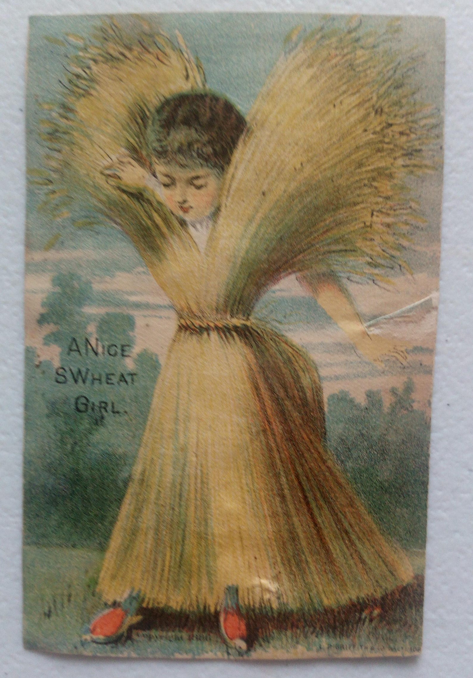 Trimmed " VEGGIE "trade Card From Diamond Excellent Condition - Etsy