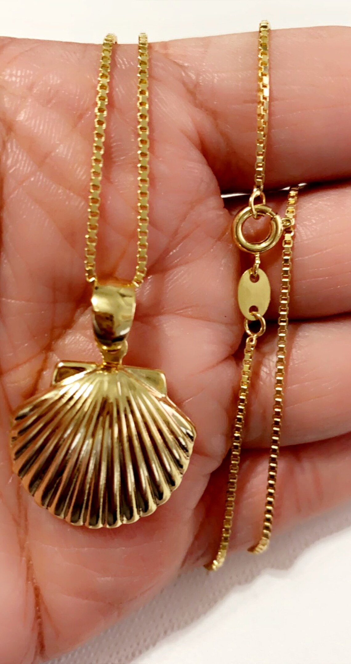 18K Gold Filled Shell Pendant With Necklace-Shell | Etsy