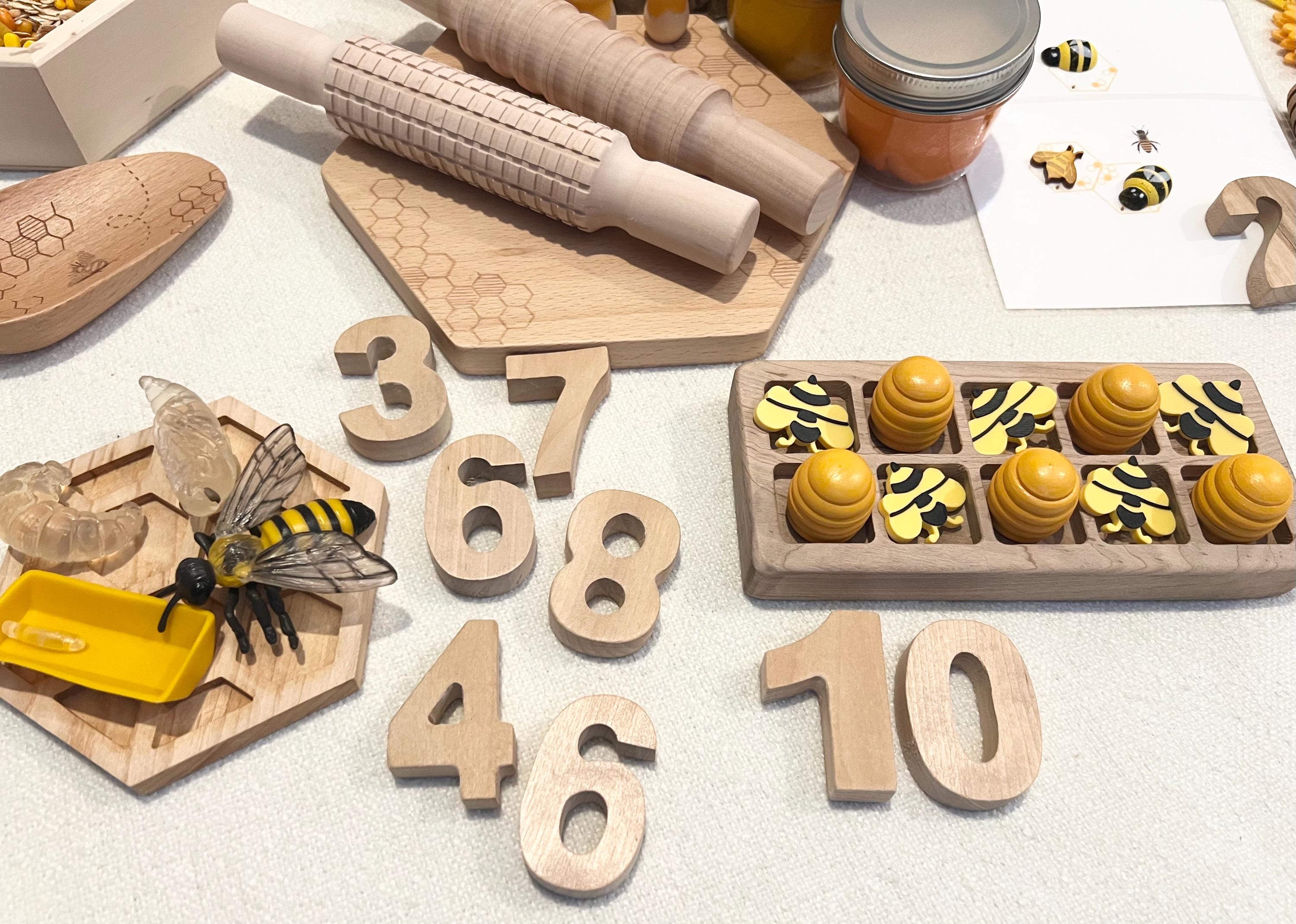 Montessori Exclusive Bee Kit , Sensory Activity , Wooden Honeycomb ...