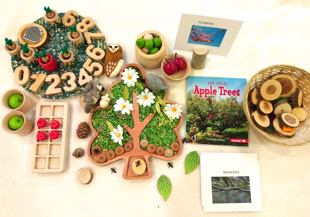 Montessori Tree Educational Kit Sensory Activity Preschool - Etsy
