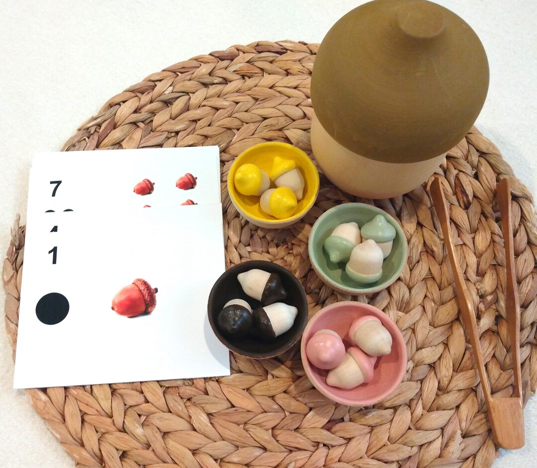 Montessori Acorn Sorting Activity, Color Sorting , Counting, Fall ...