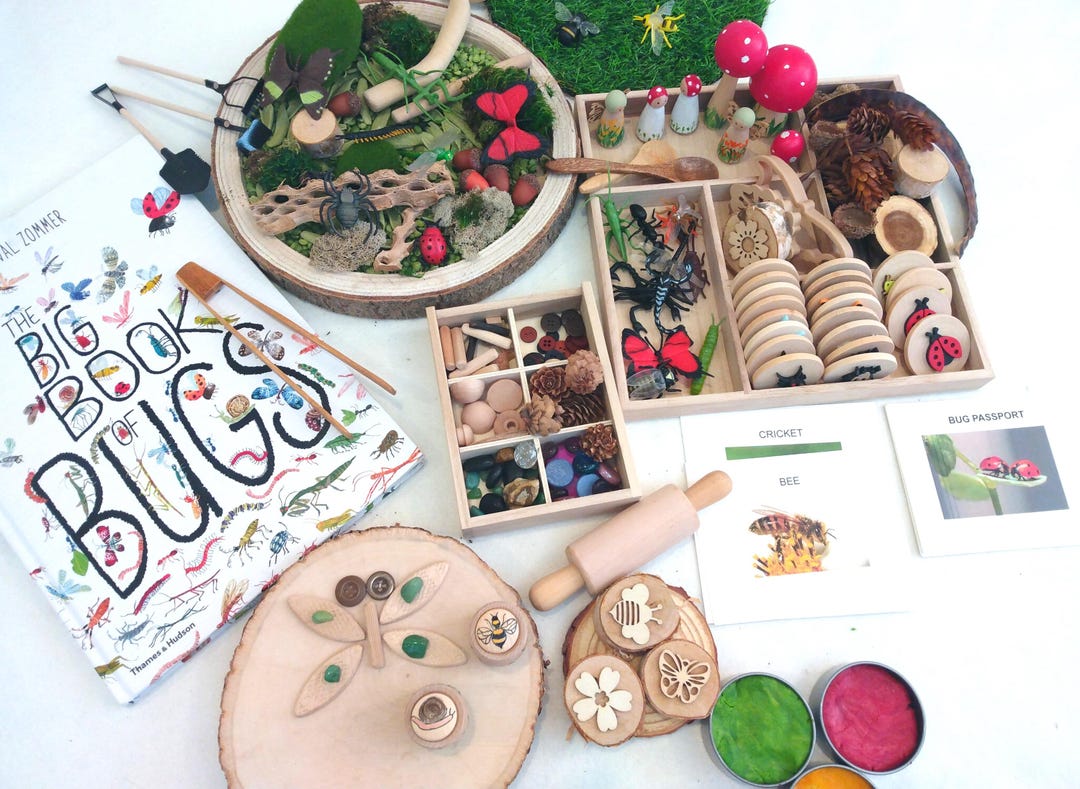 Montessori Exclusive Insect Garden Kit , Bug Hunter , Spring Activity ...