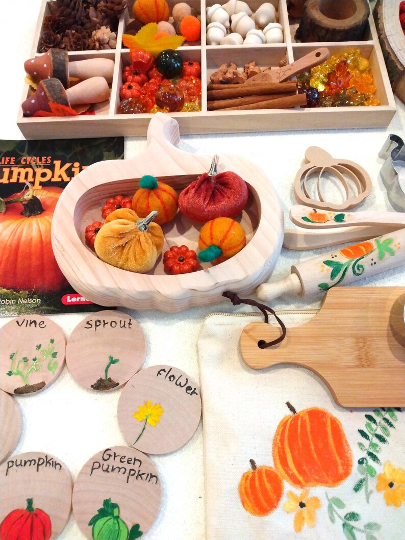 Montessori Pumpkin Spice Fall Season Kit , Fine Motor Skills, Sensory ...