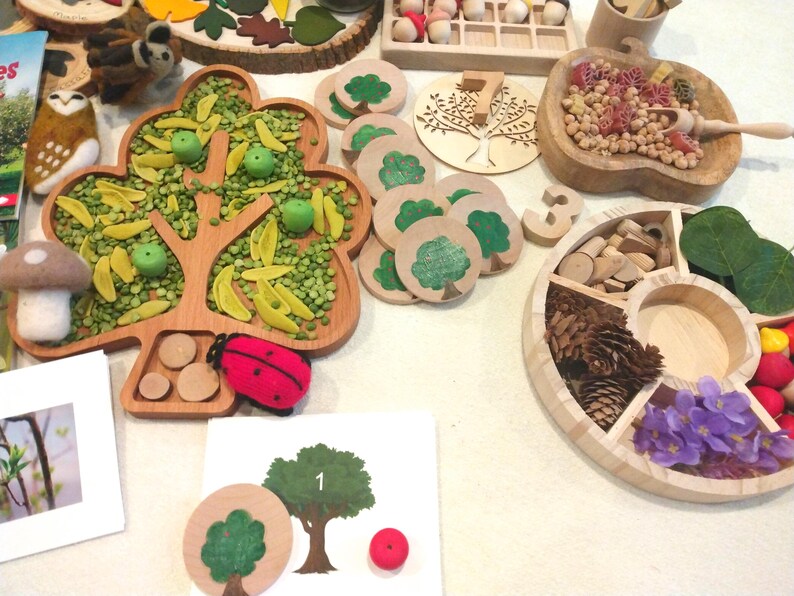 Montessori Exclusive Seasonal Tree Kit , Life Cycle of Apple Tree ...