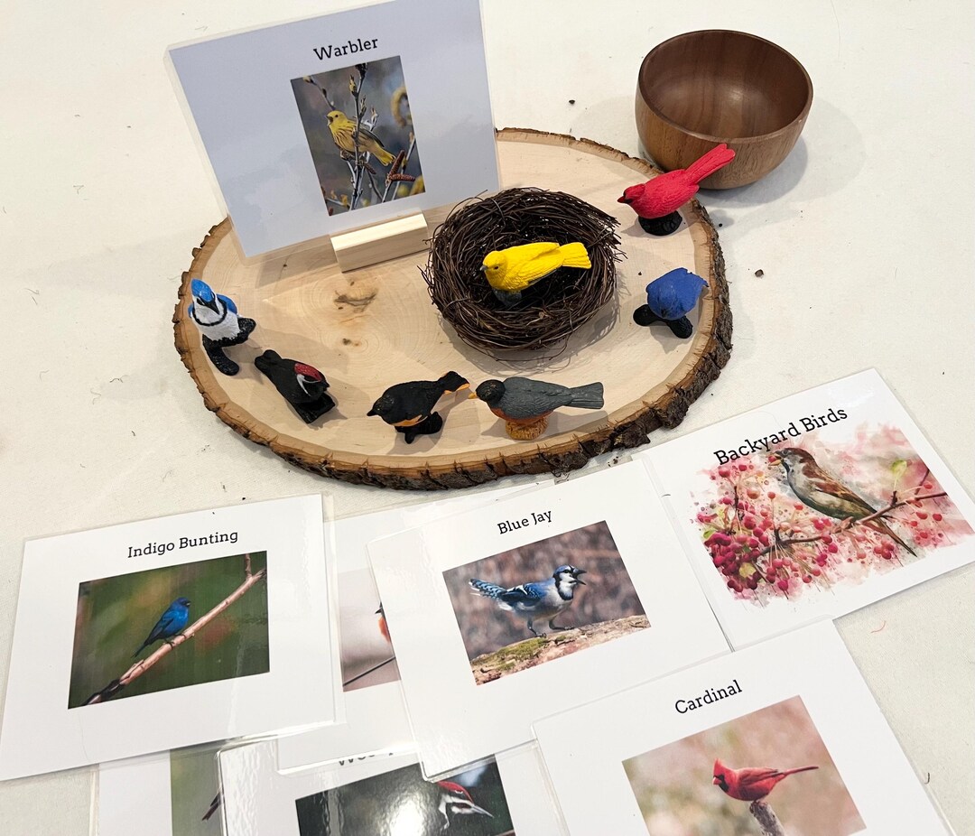 Montessori Birds Kit , Backyard Birds Toob , Birds Figures, Matching ...