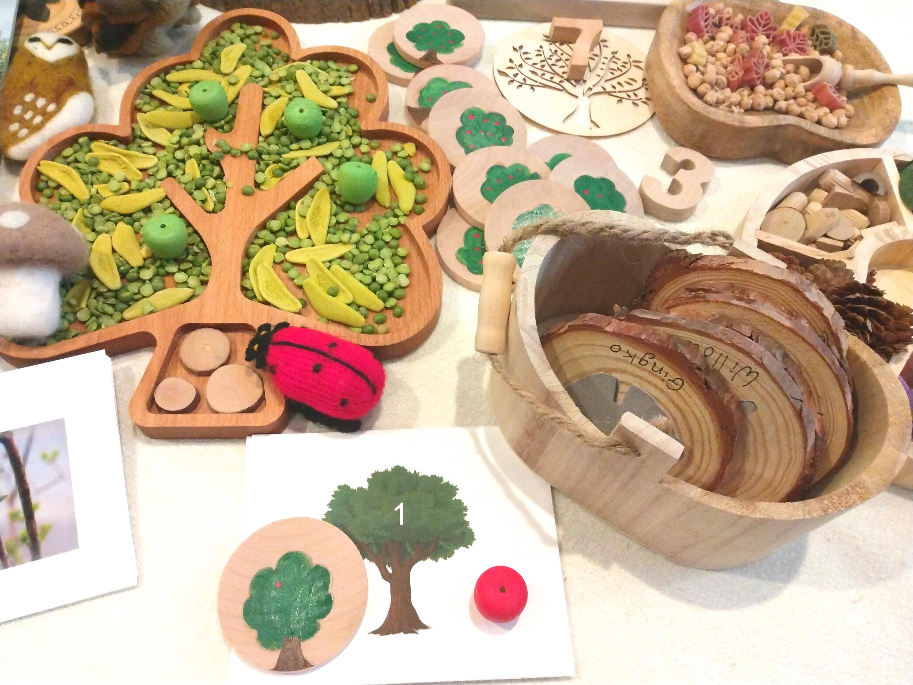 Montessori Exclusive Seasonal Tree Kit , Life Cycle of Apple Tree ...