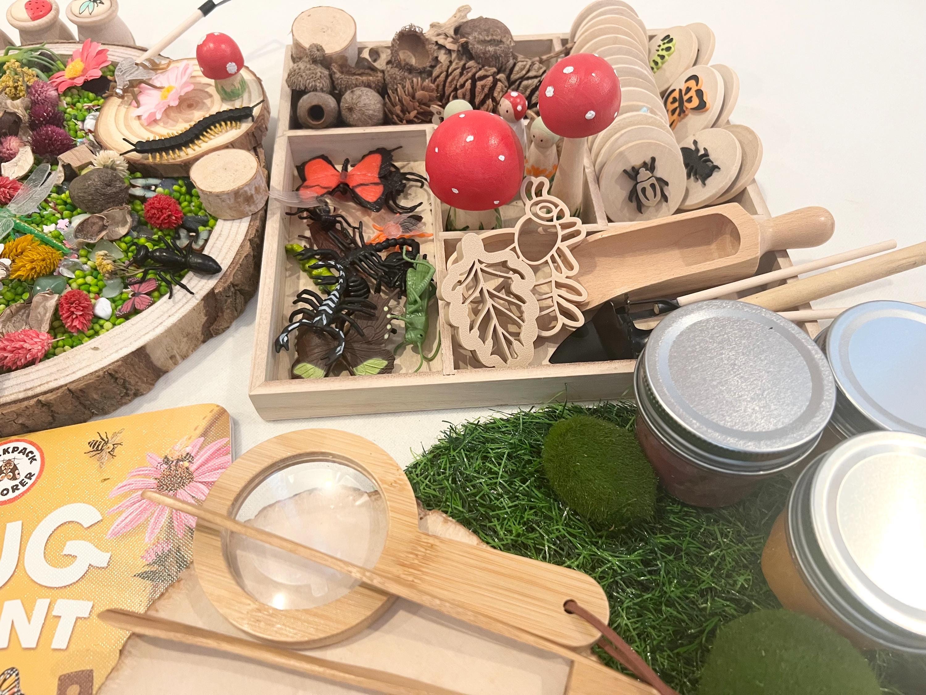 Montessori Exclusive Insect Garden Kit , Bug Hunter , Spring Activity ...