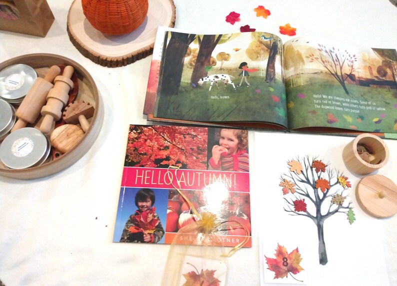 Montessori Fall Season Sensory Learning Kit, Loose Parts , Educational ...