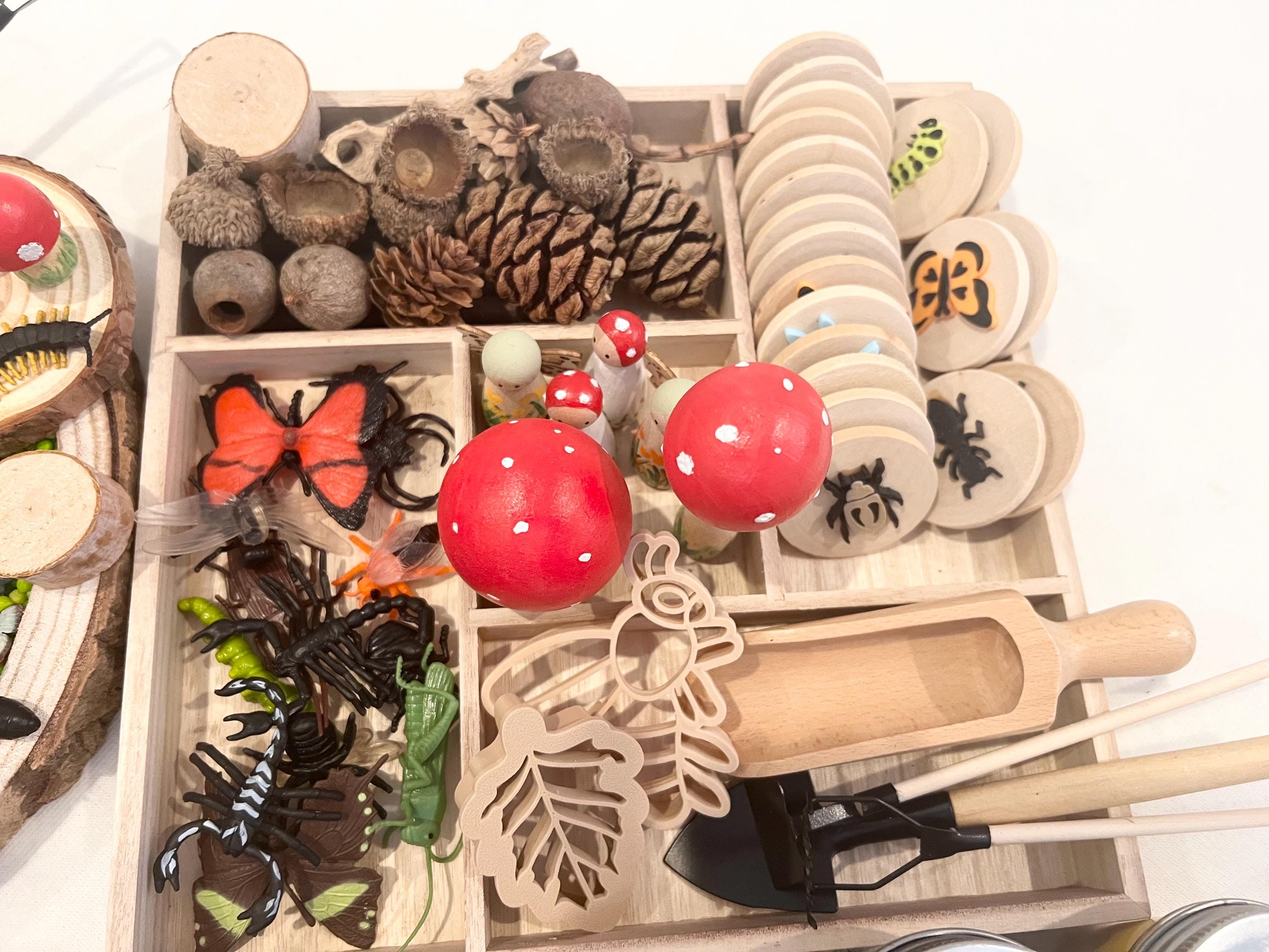 Montessori Exclusive Insect Garden Kit , Bug Hunter , Spring Activity ...