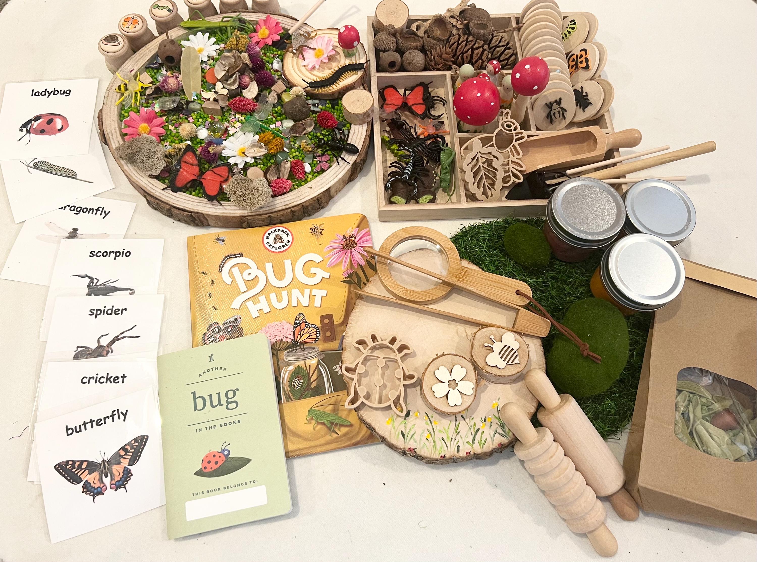 Montessori Exclusive Insect Garden Kit , Bug Hunter , Spring Activity ...