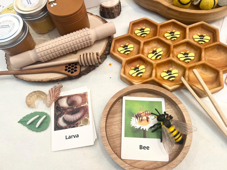 Montessori Bee Activity Kit: Wooden Honeycomb, Sensory Play, Fine Motor ...