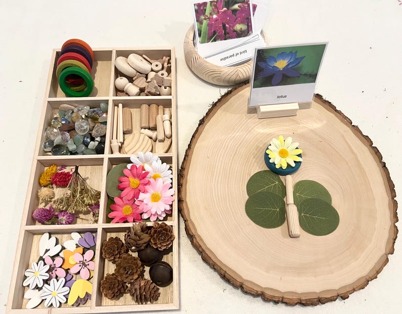 Montessori Flower Learning Kit , Sensory Activity, Educational Kit ...