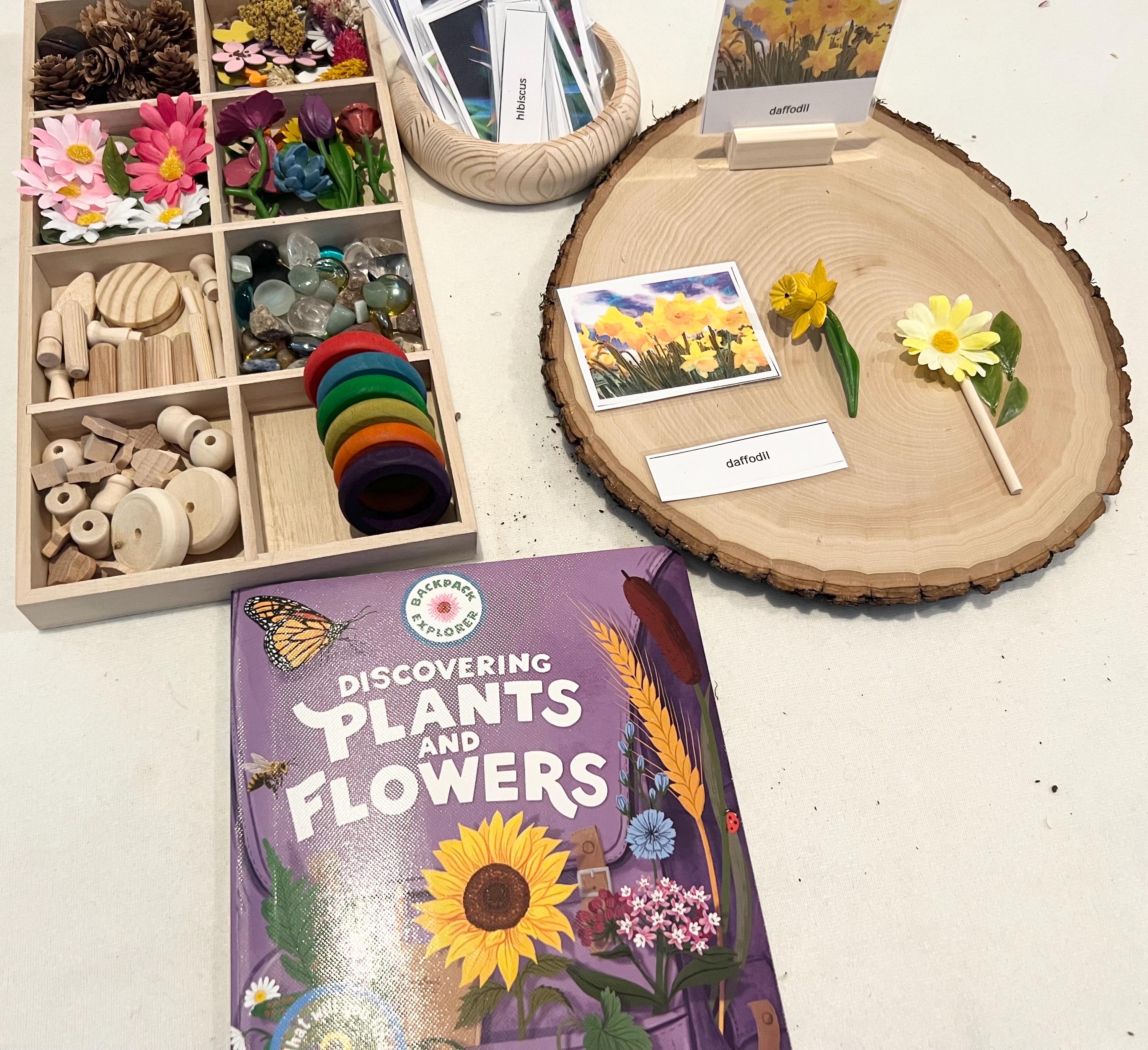 Montessori Flower Learning Kit , Sensory Activity, Educational Kit ...