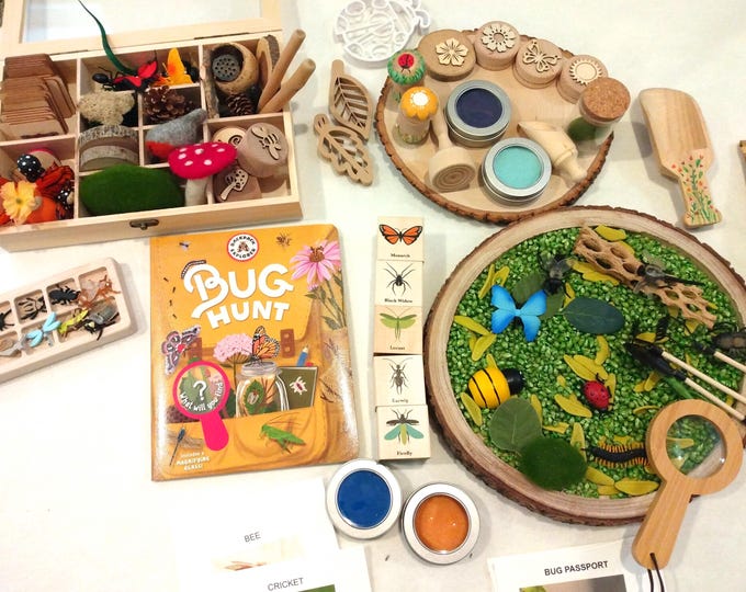 Montessori Exclusive Insect Garden Kit , Bug Hunter , Spring Activity ...