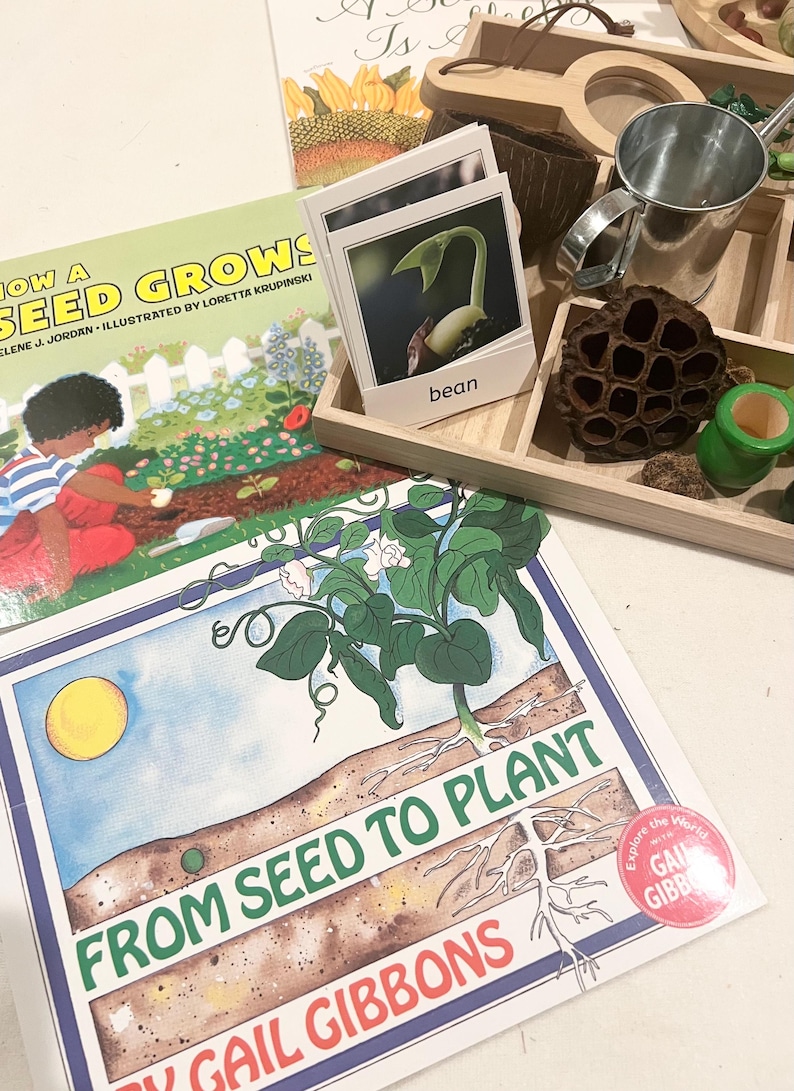 Montessori Seed Life Cycle Activity Set, Homeschool Learning - Etsy Canada