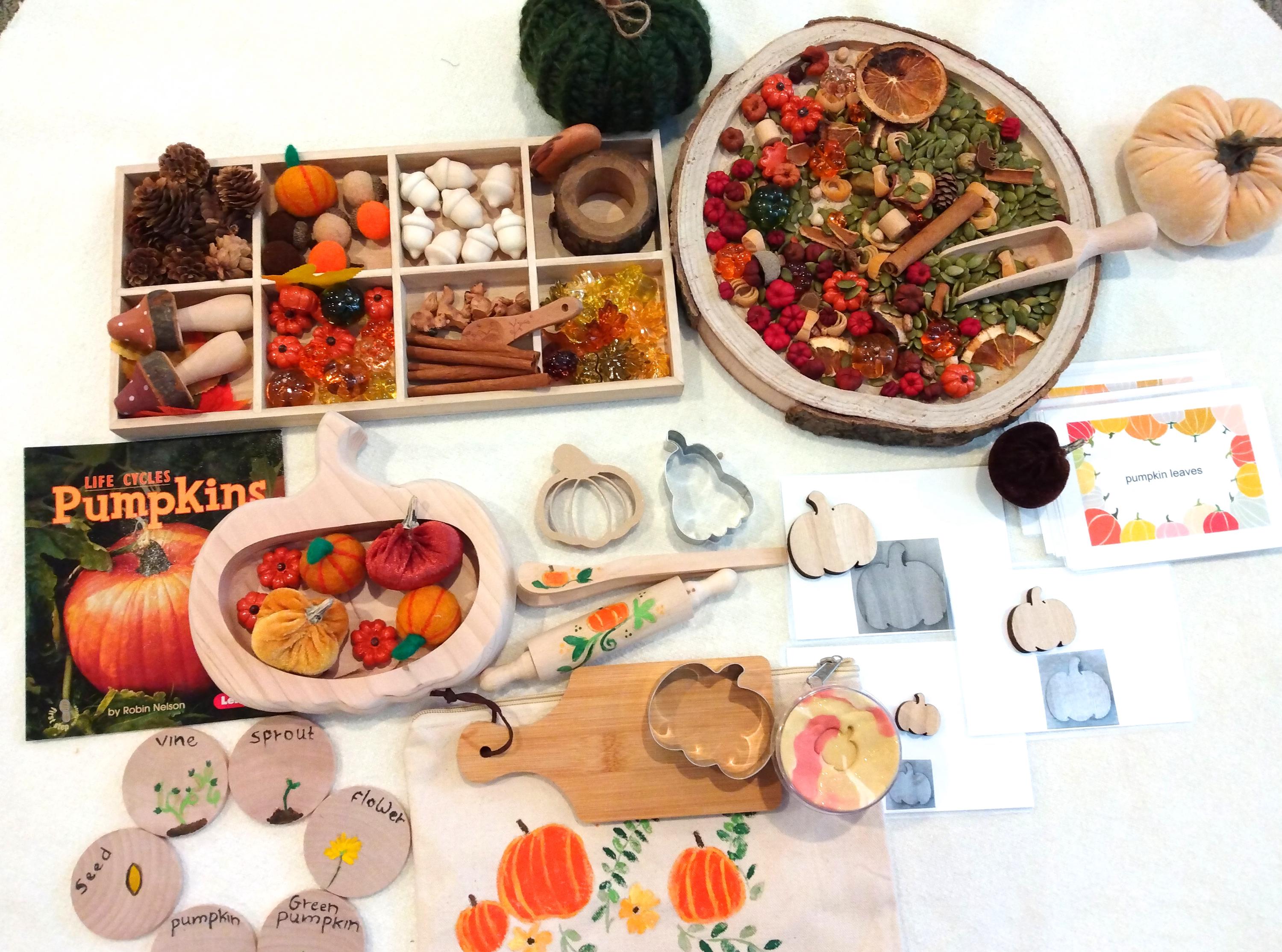 Montessori Pumpkin Spice Fall Season Kit , Fine Motor Skills, Sensory ...