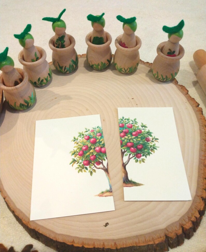 Montessori Exclusive Seasonal Tree Kit , Life Cycle of Apple Tree ...
