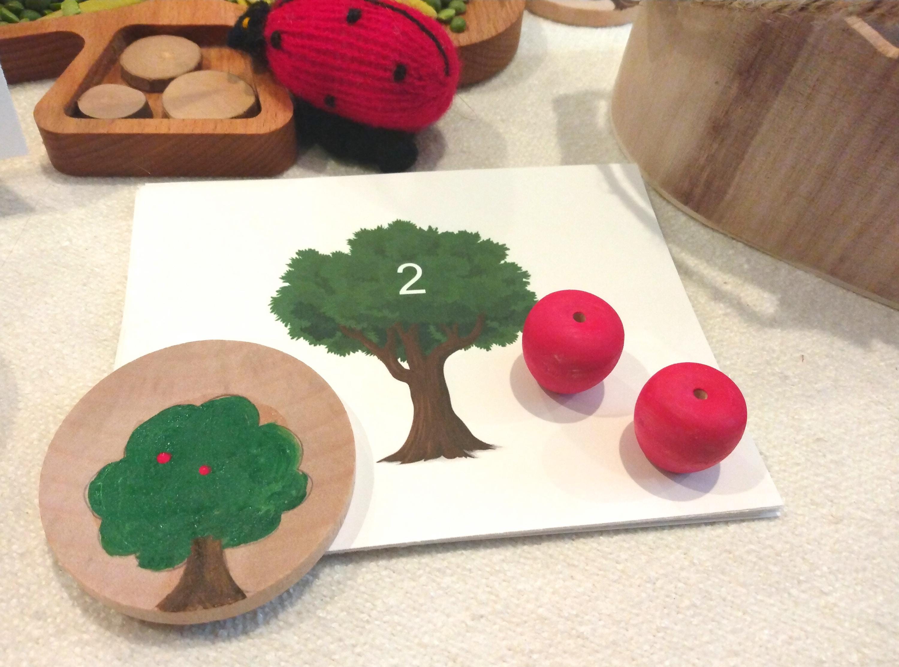 Montessori Exclusive Seasonal Tree Kit , Life Cycle of Apple Tree ...