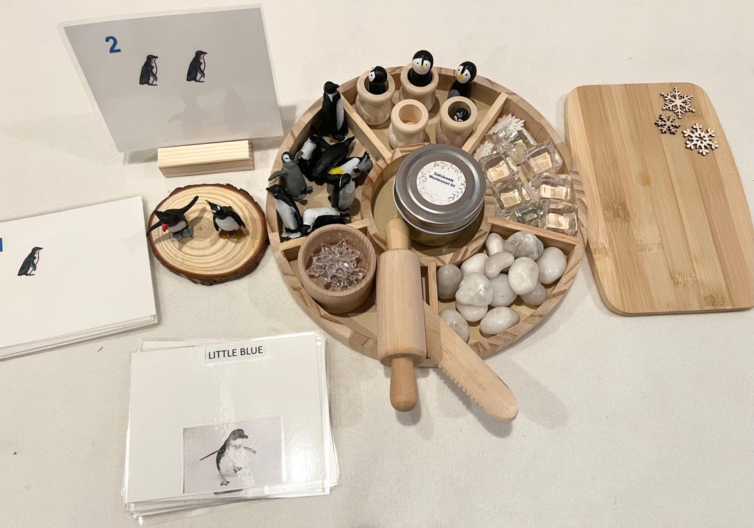 Montessori Winter Kit , Penguin Activity Kit , Sensory Activity ...