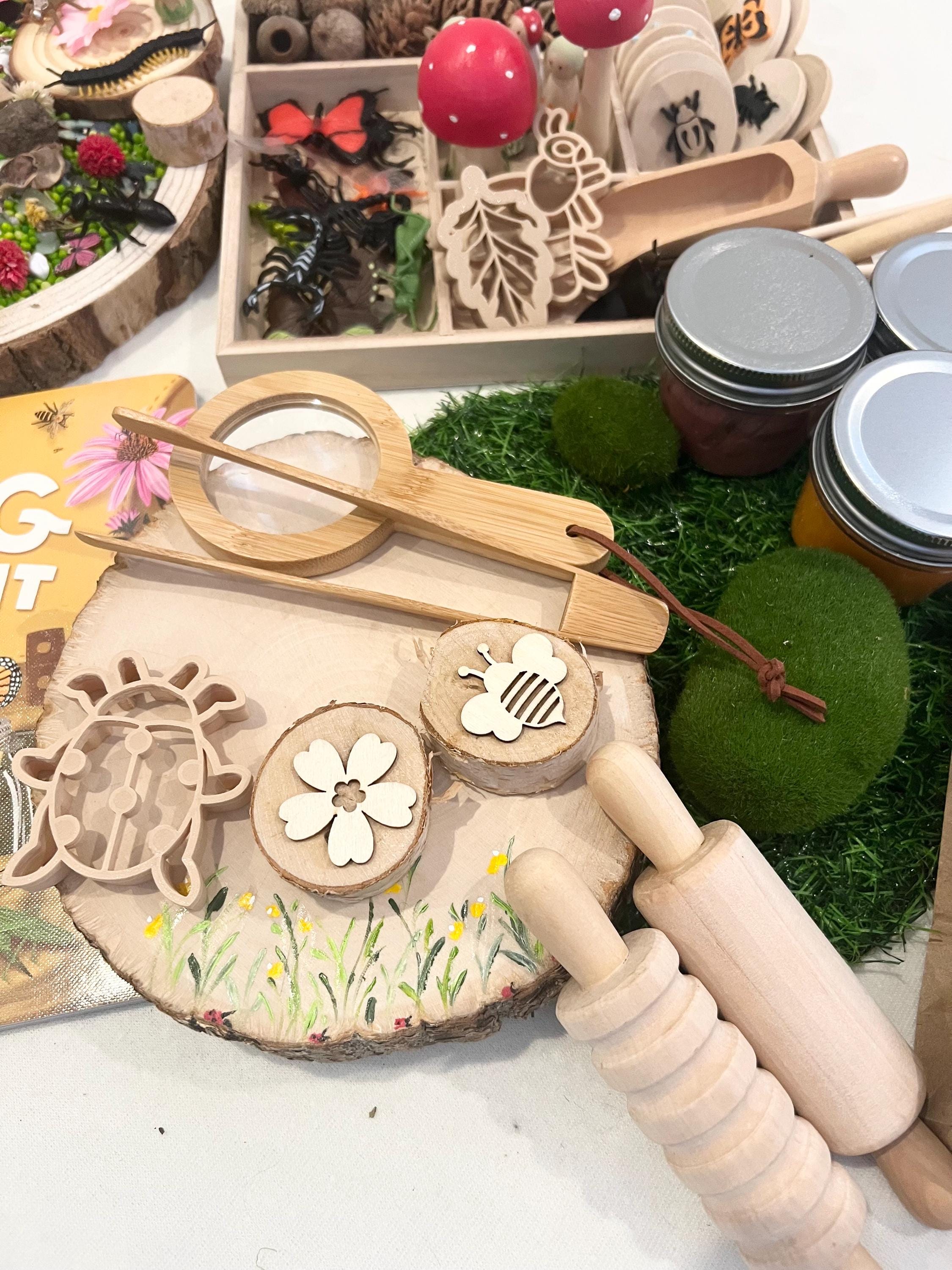 Montessori Exclusive Insect Garden Kit , Bug Hunter , Spring Activity ...