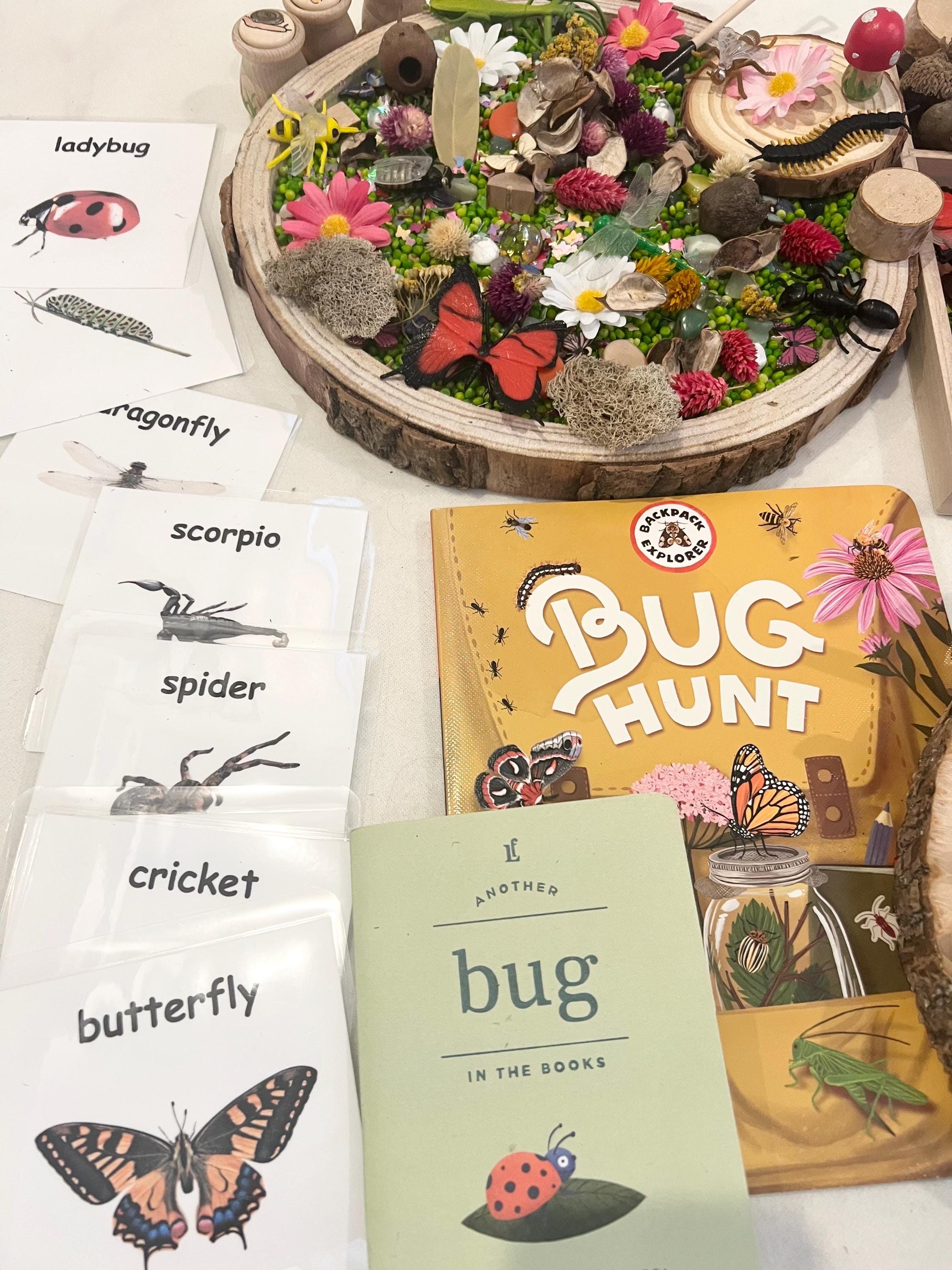 Montessori Exclusive Insect Garden Kit , Bug Hunter , Spring Activity ...