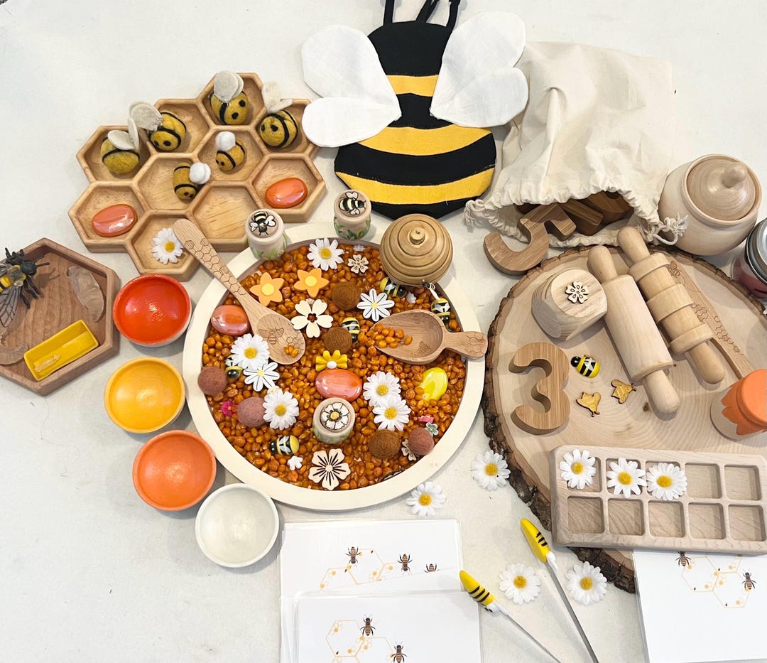 Montessori Exclusive Bee Kit , Sensory Activity , Wooden Honeycomb ...