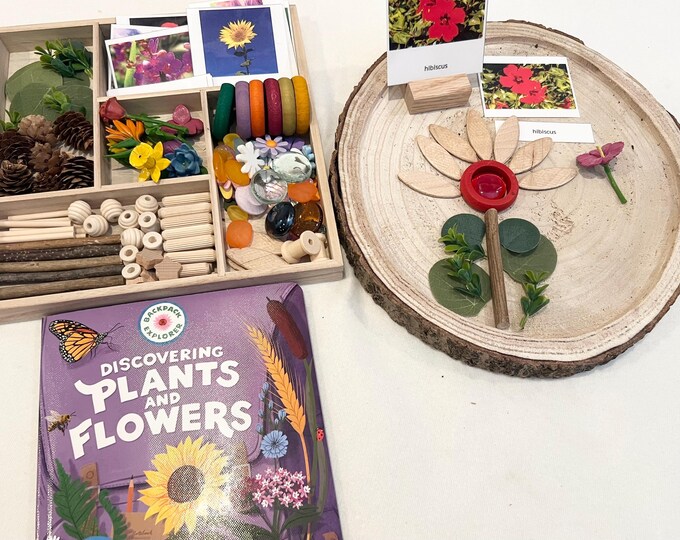 Montessori Flower Learning Kit , Sensory Activity, Educational Kit ...