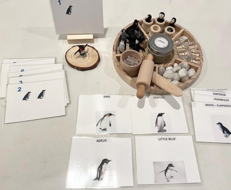 Montessori Winter Kit , Penguin Activity Kit , Sensory Activity ...