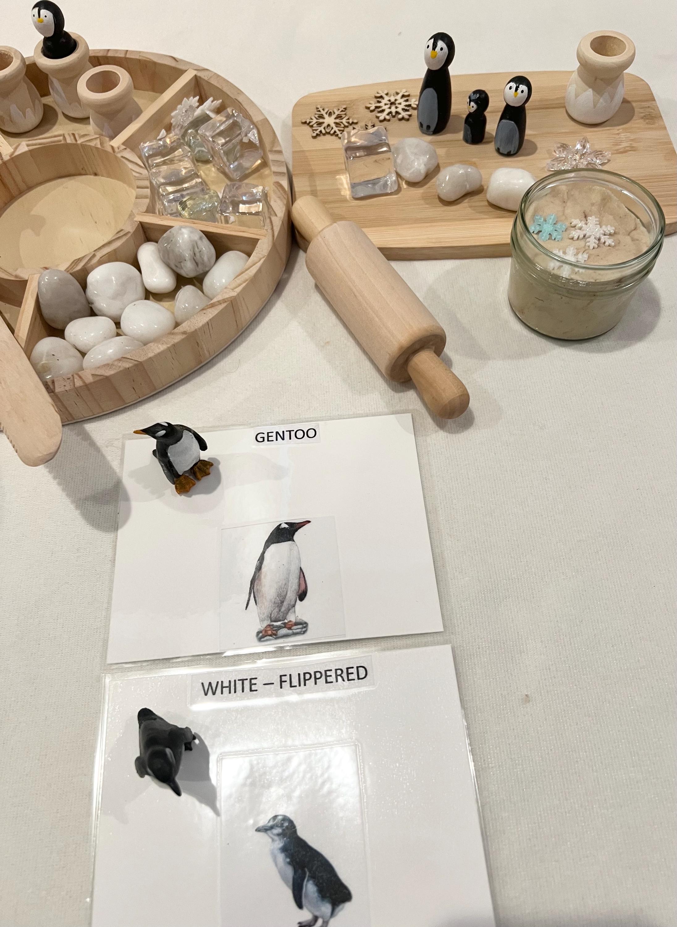 Montessori Winter Kit , Penguin Activity Kit , Sensory Activity ...