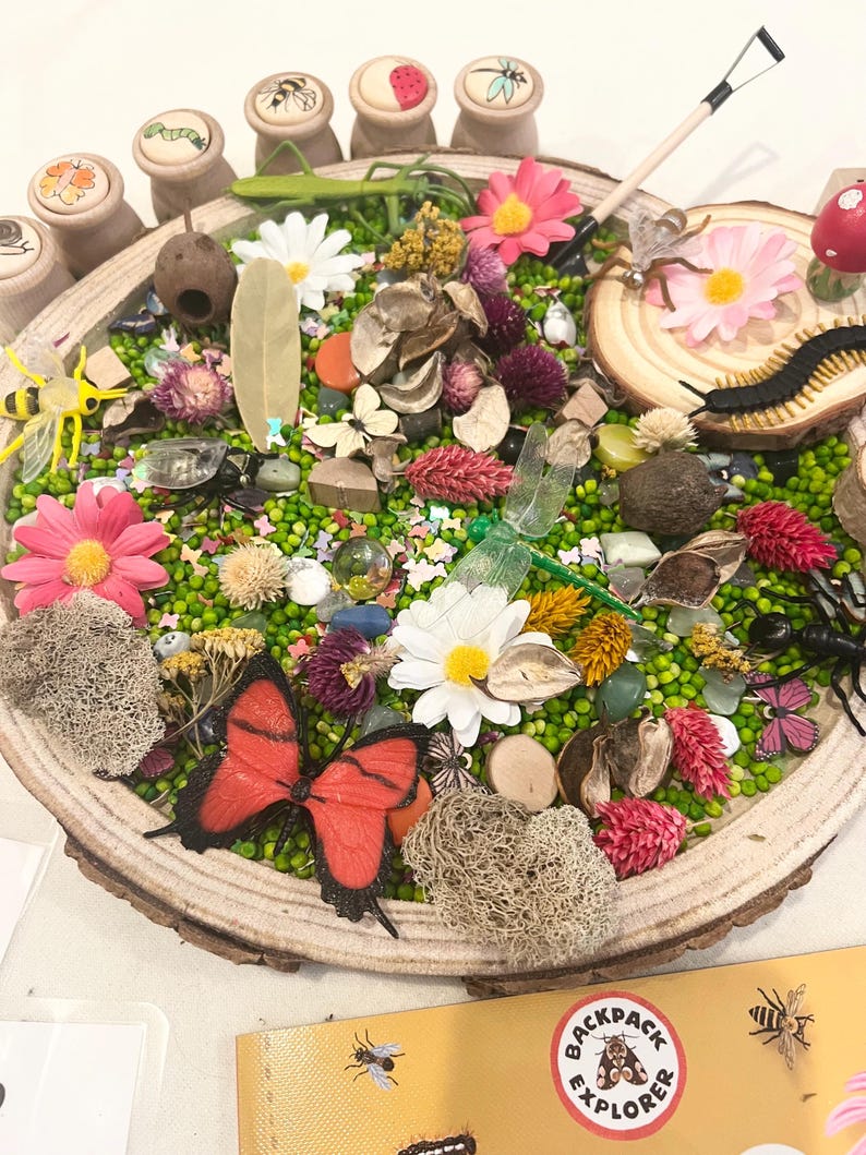 Montessori Exclusive Insect Garden Kit , Bug Hunter , Spring Activity ...